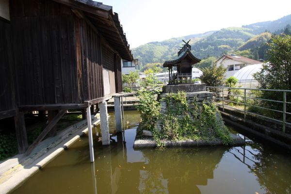 橋